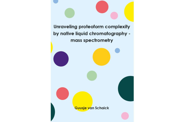 Thesis defense Guusje van Schaick - CPM
